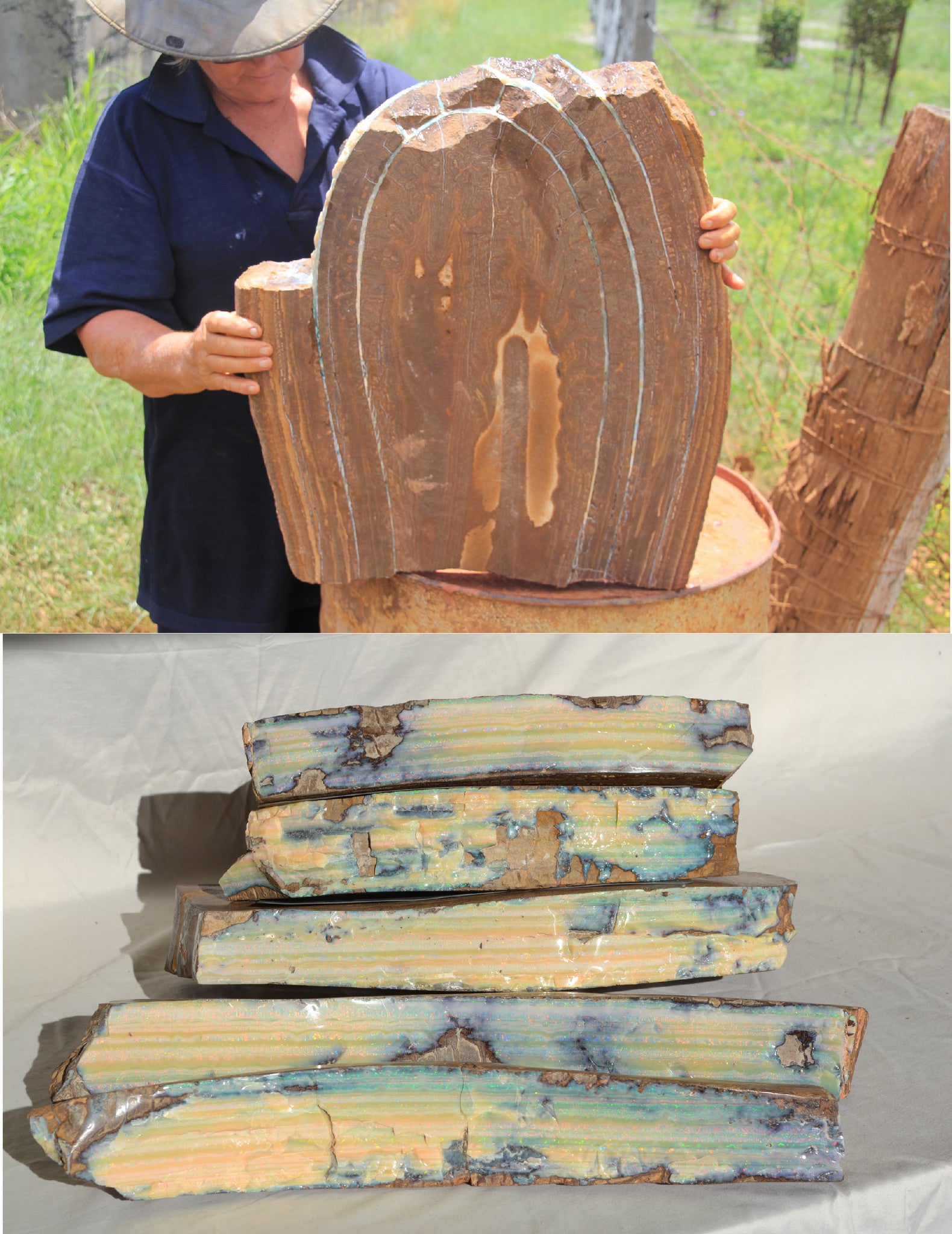 The 'Cooper' – Broken River Mining